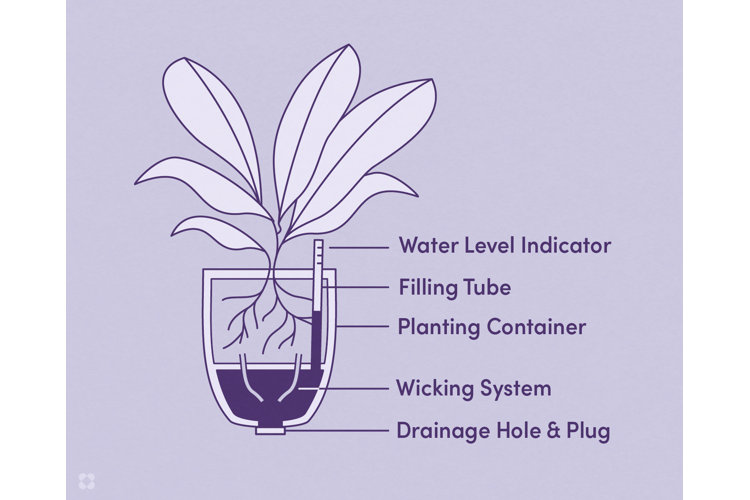 How Do Self-Watering Planters Work? | Wayfair